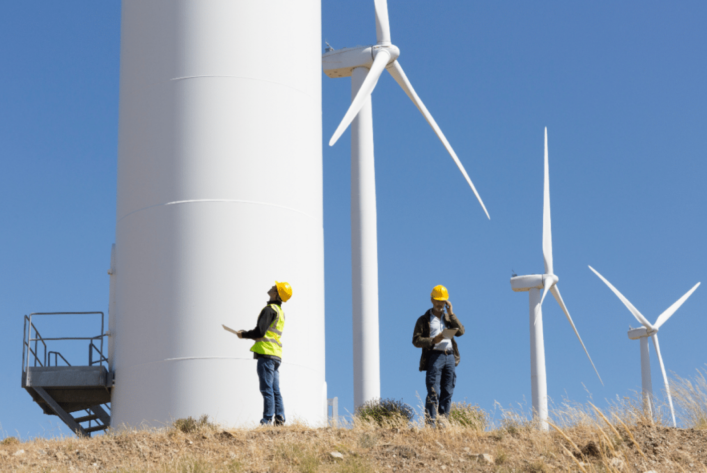 Merino Wind Farm - Infrastructure Pipeline