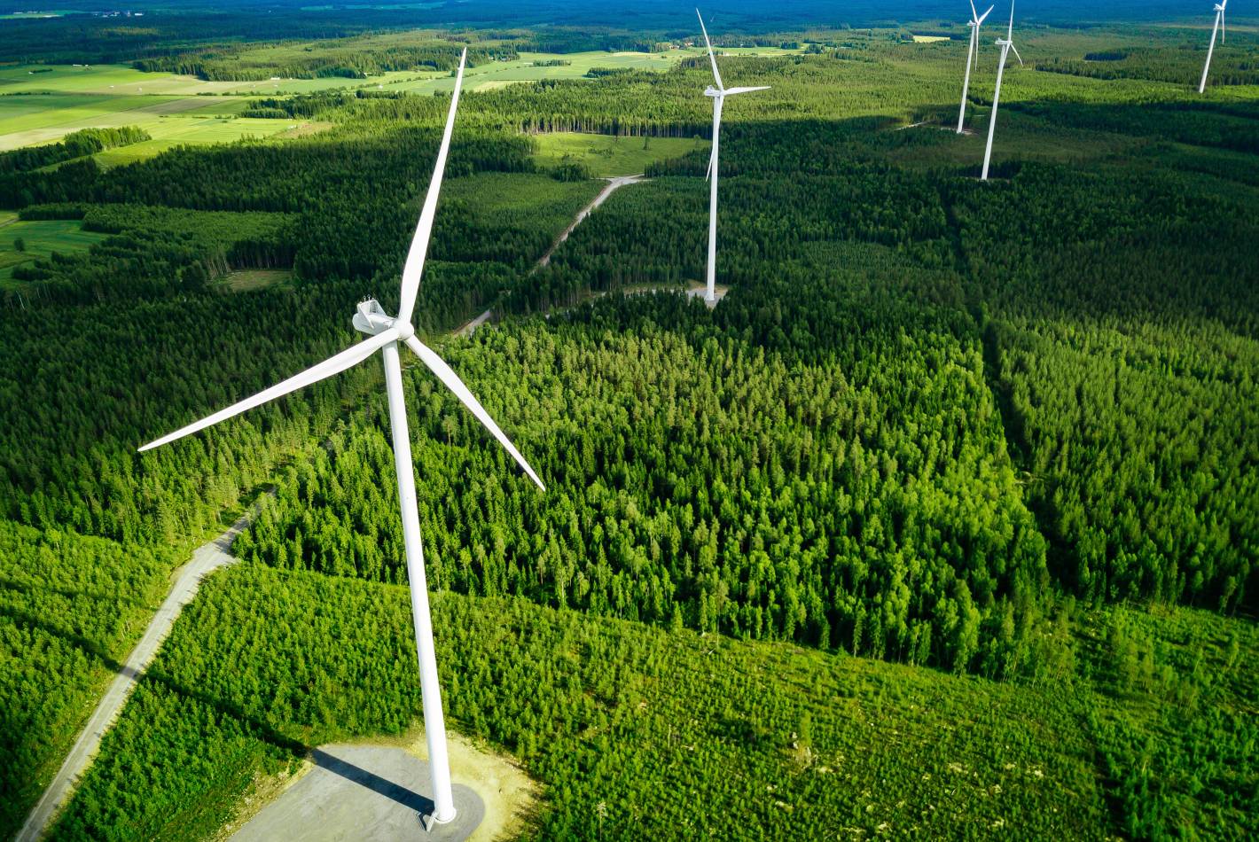 Forest Wind - Infrastructure Pipeline